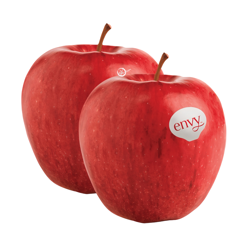 USA Envy Apple Large – Deluxe Fruits Singapore