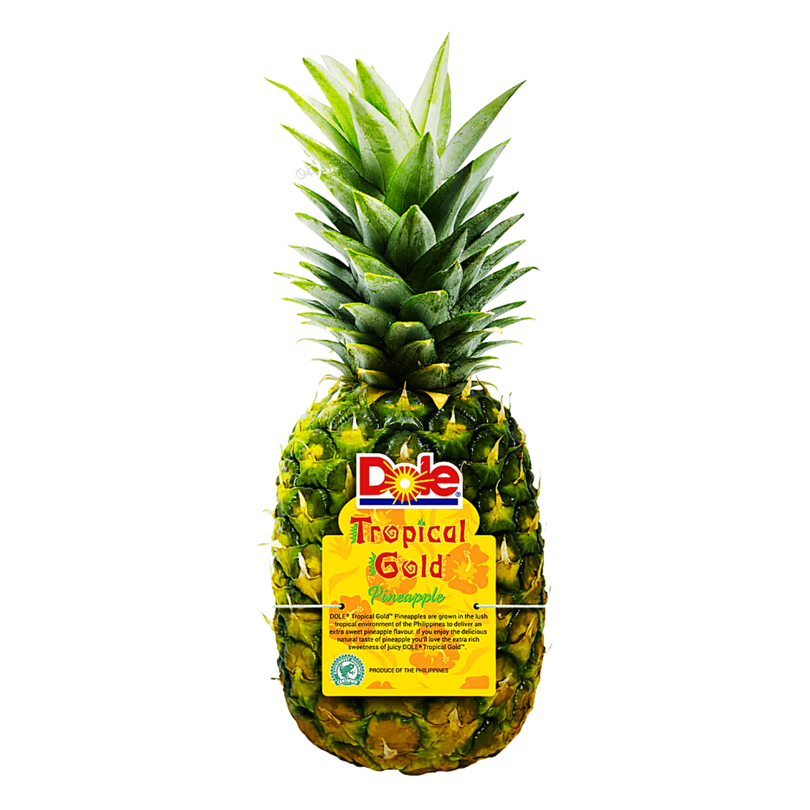 Philippines Dole Honey Pineapple – Deluxe Fruits Singapore